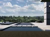 Blog — Uncommon Ground Landscape Design