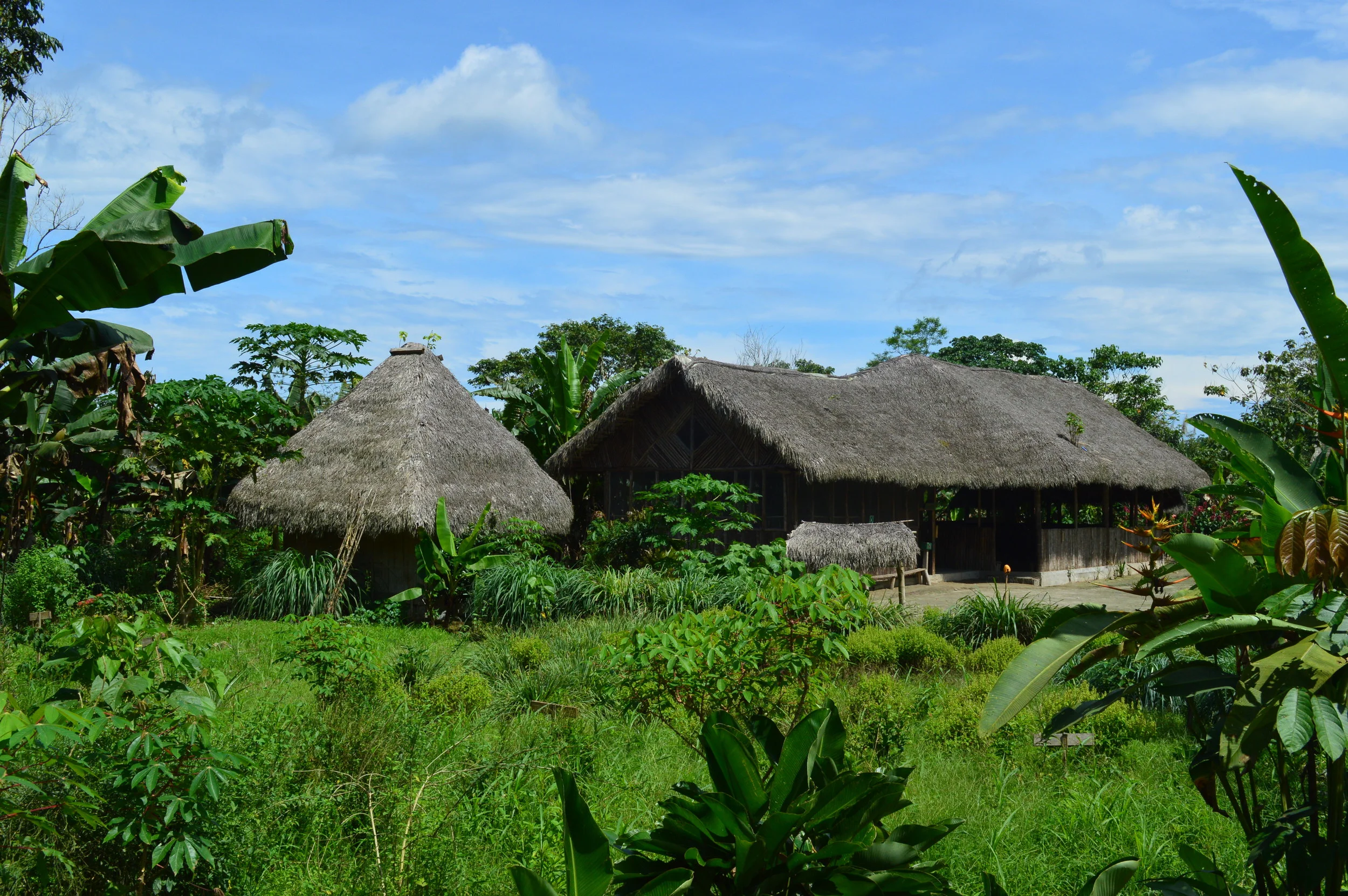 Ecuador Country Overview — Manna Project International