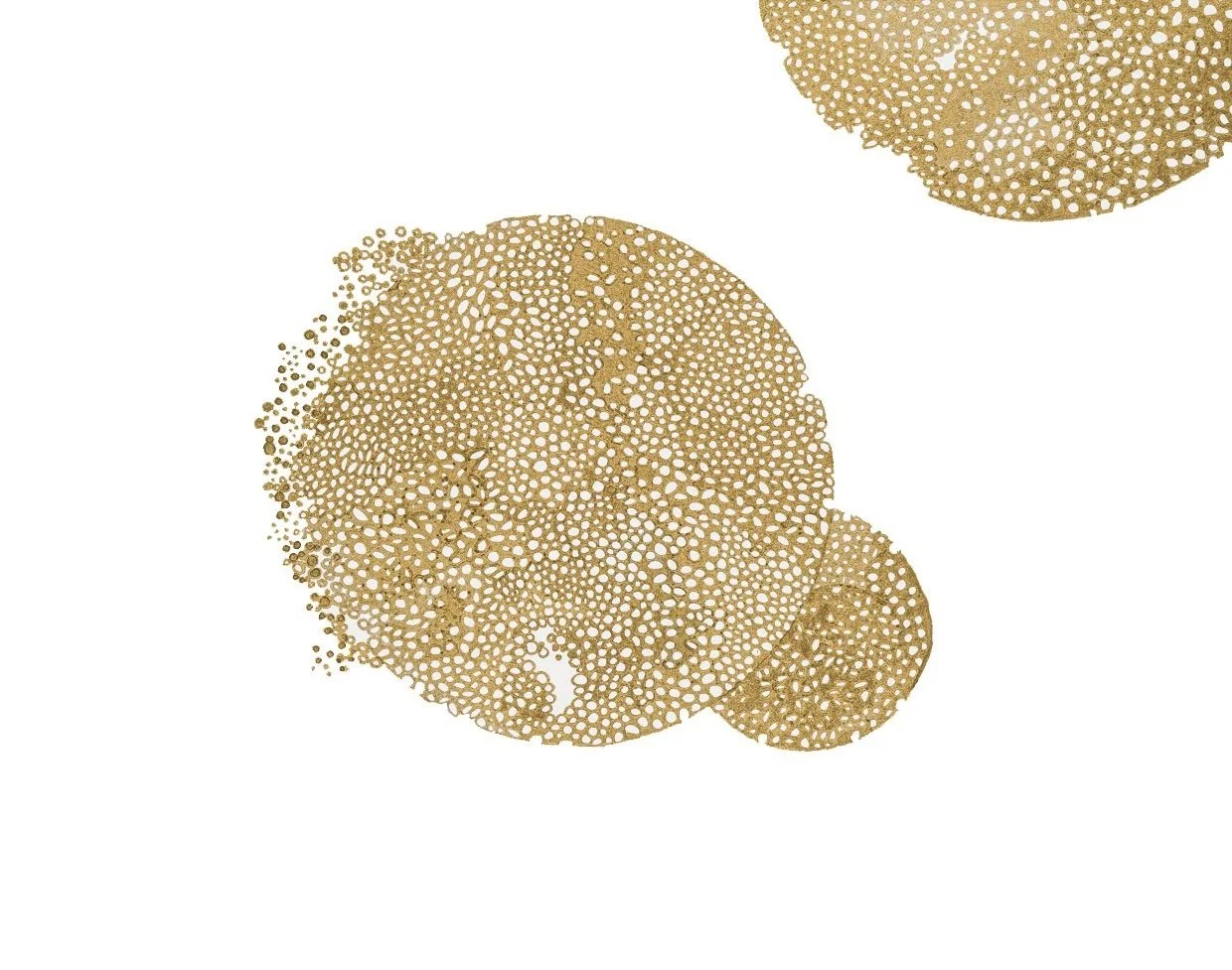 Champagne Gold — Yen Ha