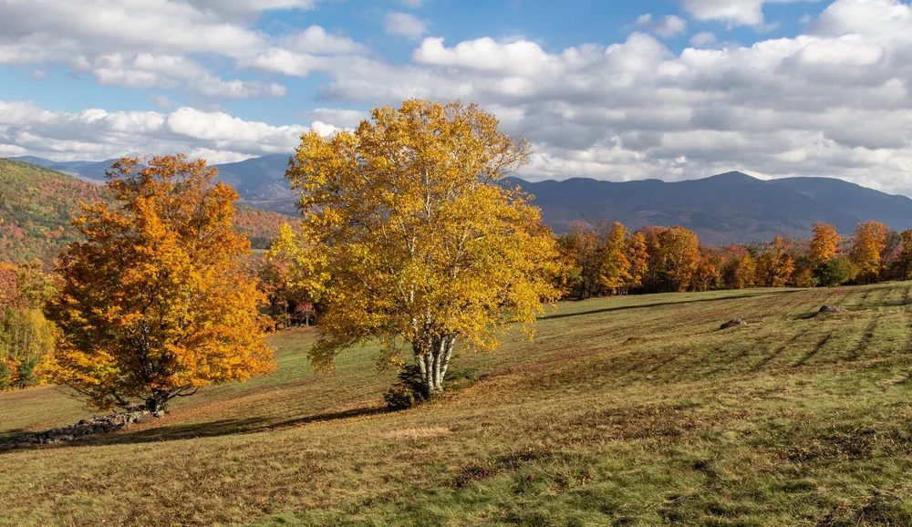 Bronson Hill Trails Description — Ammonoosuc Conservation Trust