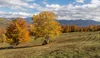 Bronson Hill Trails Description — Ammonoosuc Conservation Trust