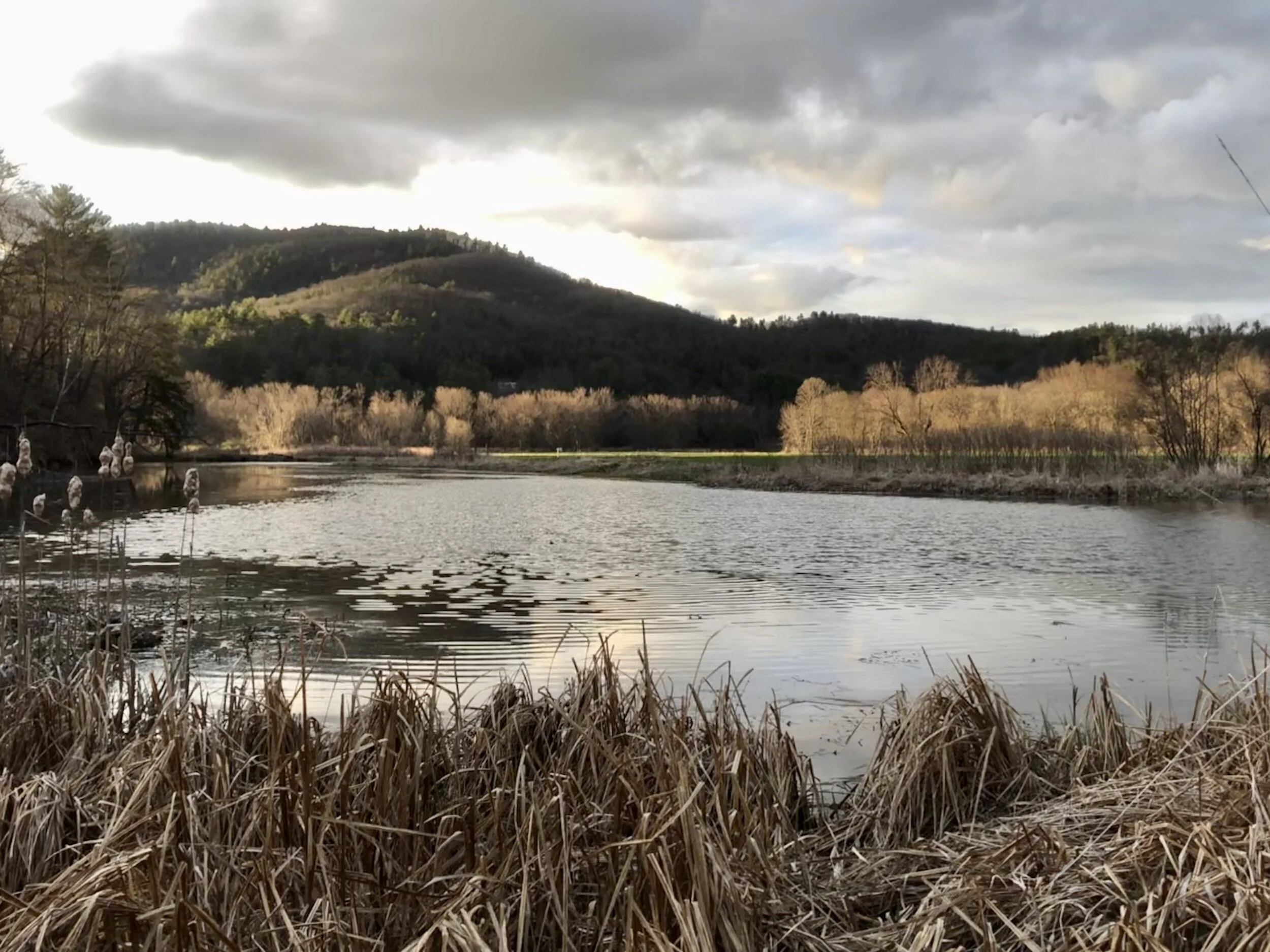 Land Conserved — Ammonoosuc Conservation Trust