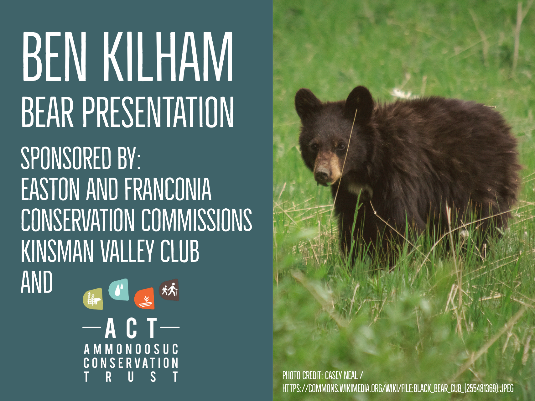 Have Fun - Hikes, Events & Workshops — Ammonoosuc Conservation Trust