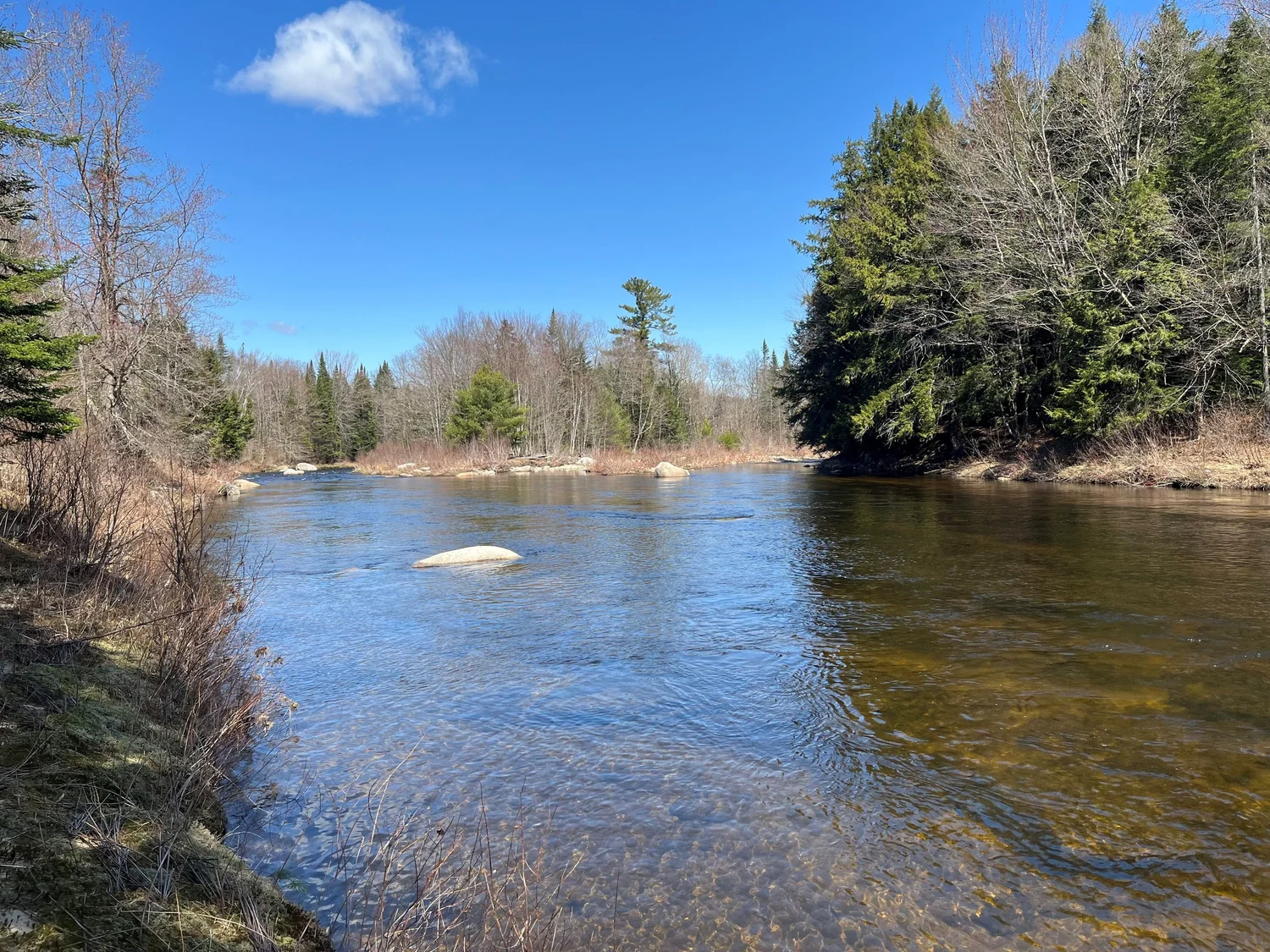 May 2025 ENews - Ammonoosuc Riverlands — Ammonoosuc Conservation Trust