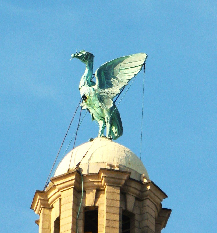 Phenological Phacts and Photos w/ Carl Martland / October 2022 ...