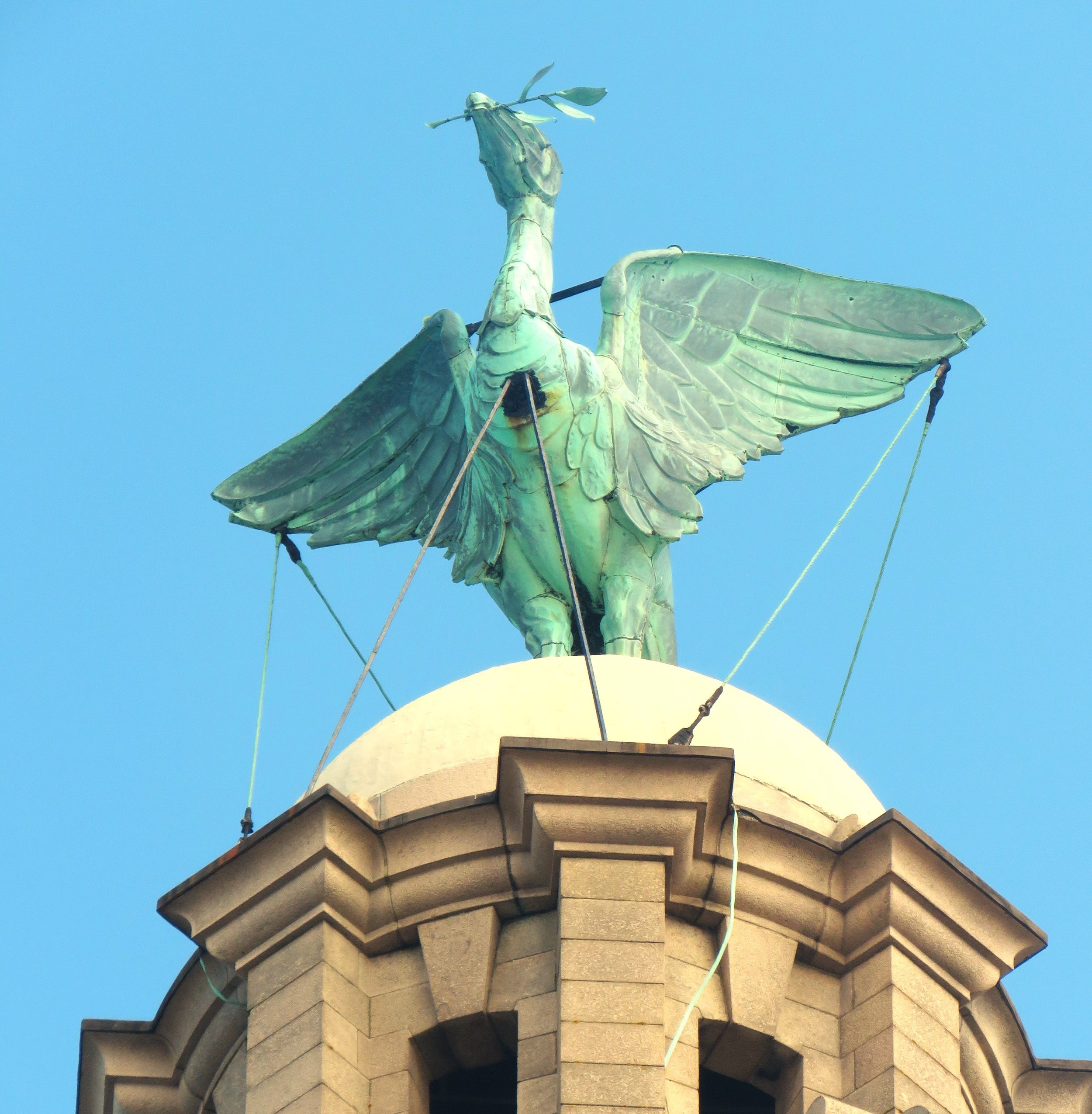 Phenological Phacts and Photos w/ Carl Martland / October 2022 ...