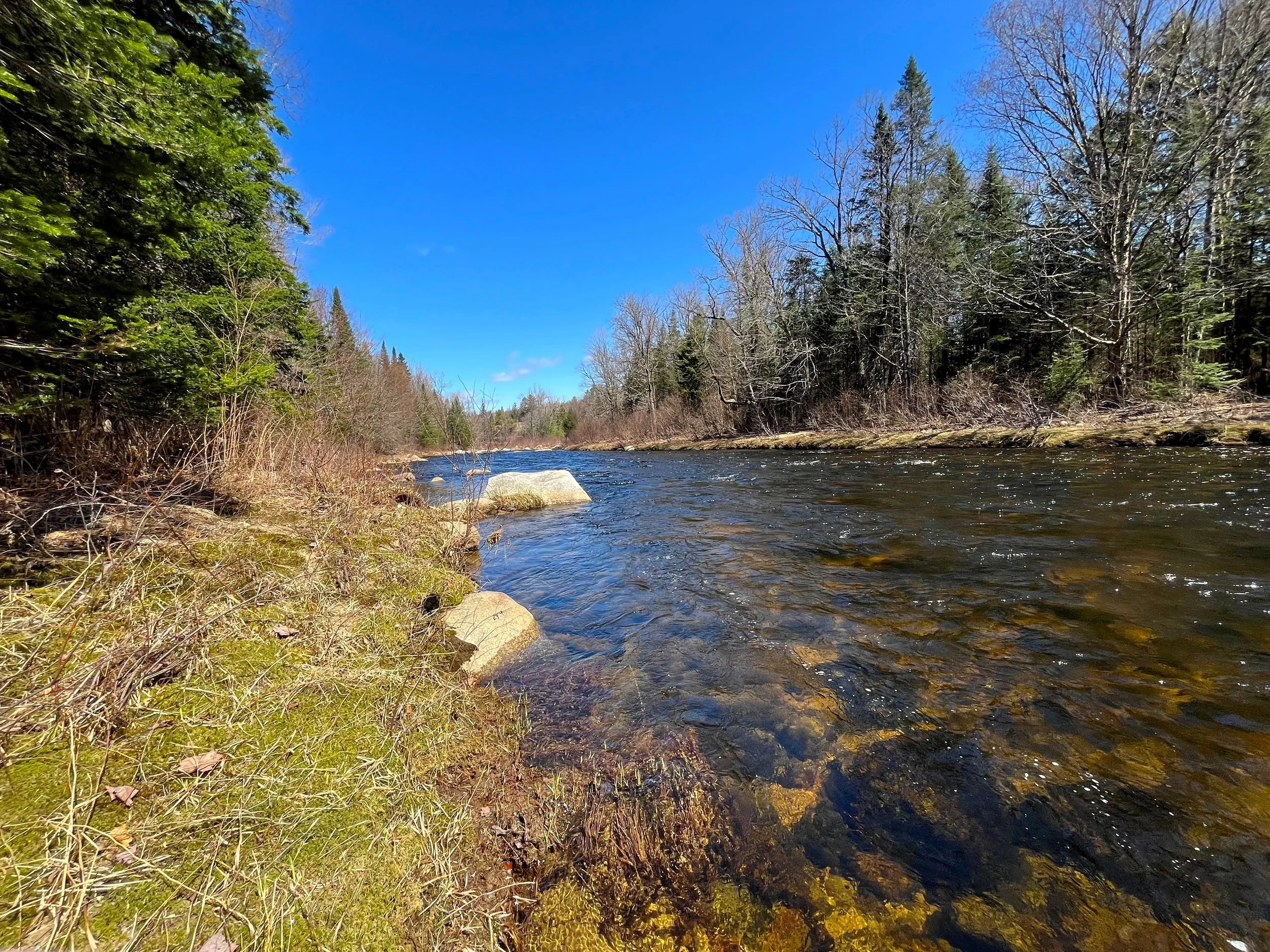 May 2025 ENews - Ammonoosuc Riverlands — Ammonoosuc Conservation Trust