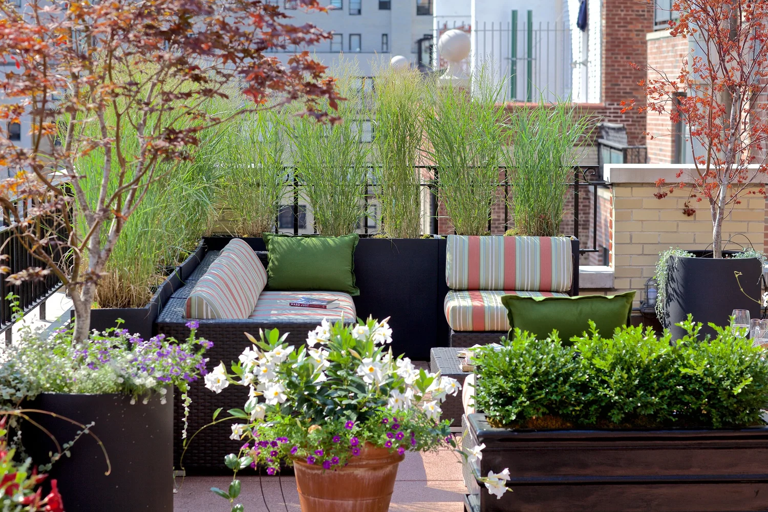 Case Study 3: A Room with a View — Verdant View