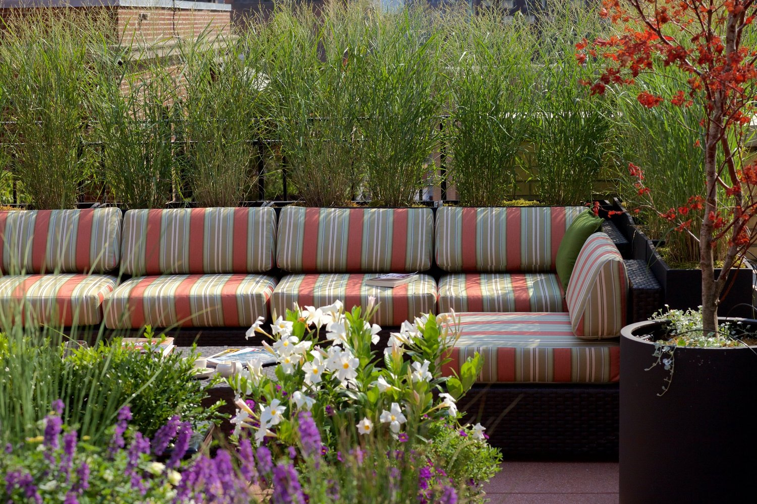 Case Study 3: A Room with a View — Verdant View