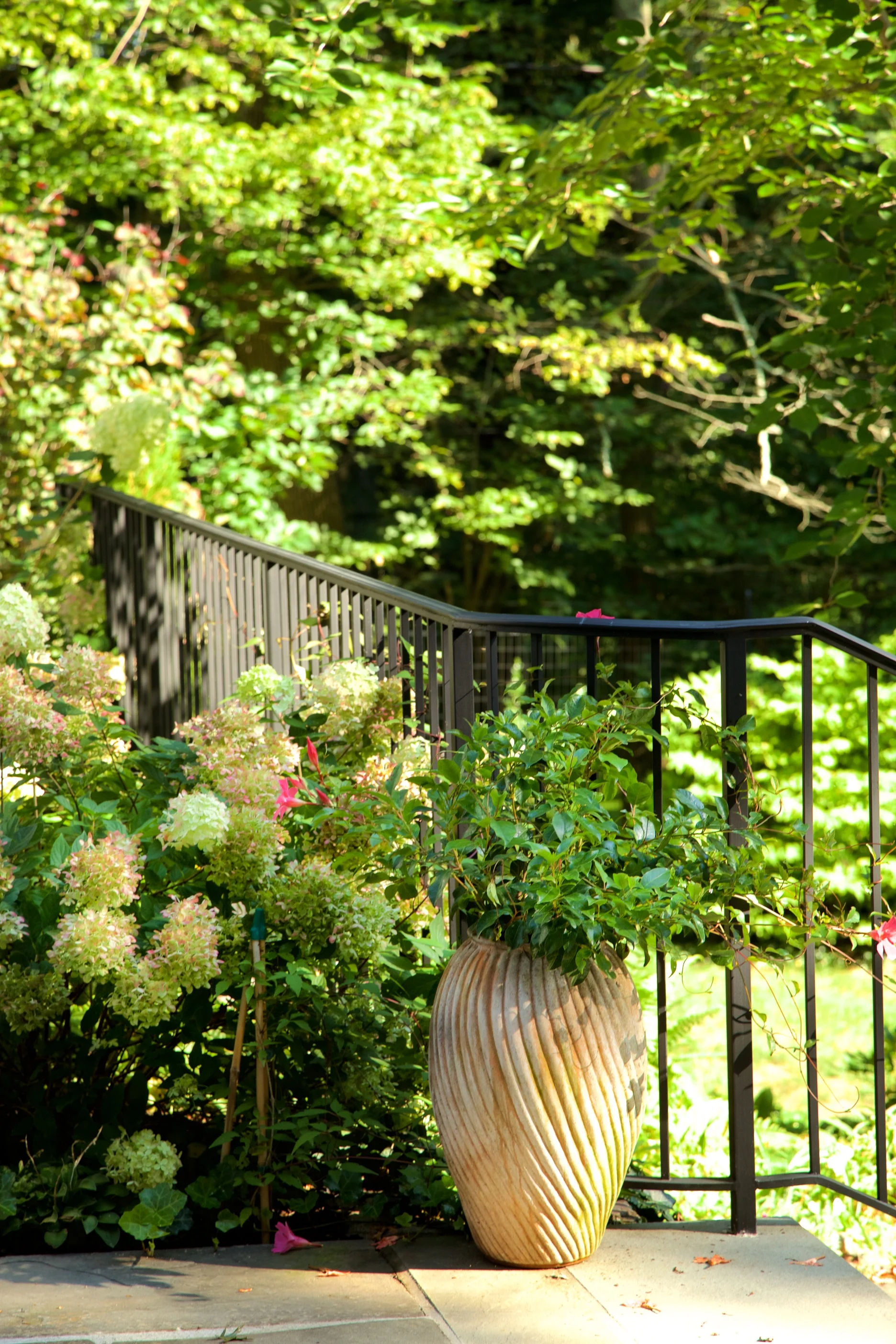 Case Study 4: Gardener's Welcome — Verdant View