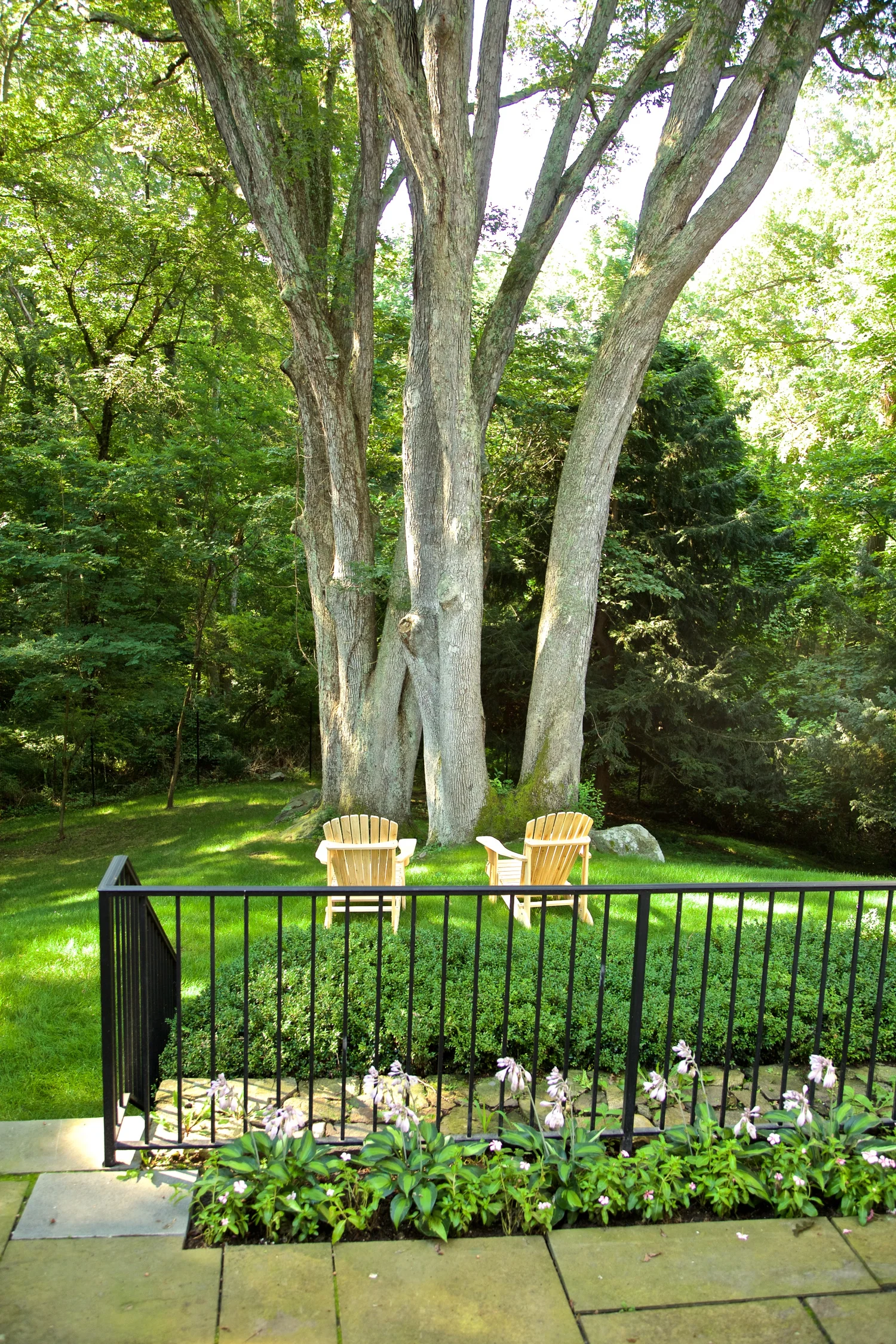 Case Study 4: Gardener's Welcome — Verdant View
