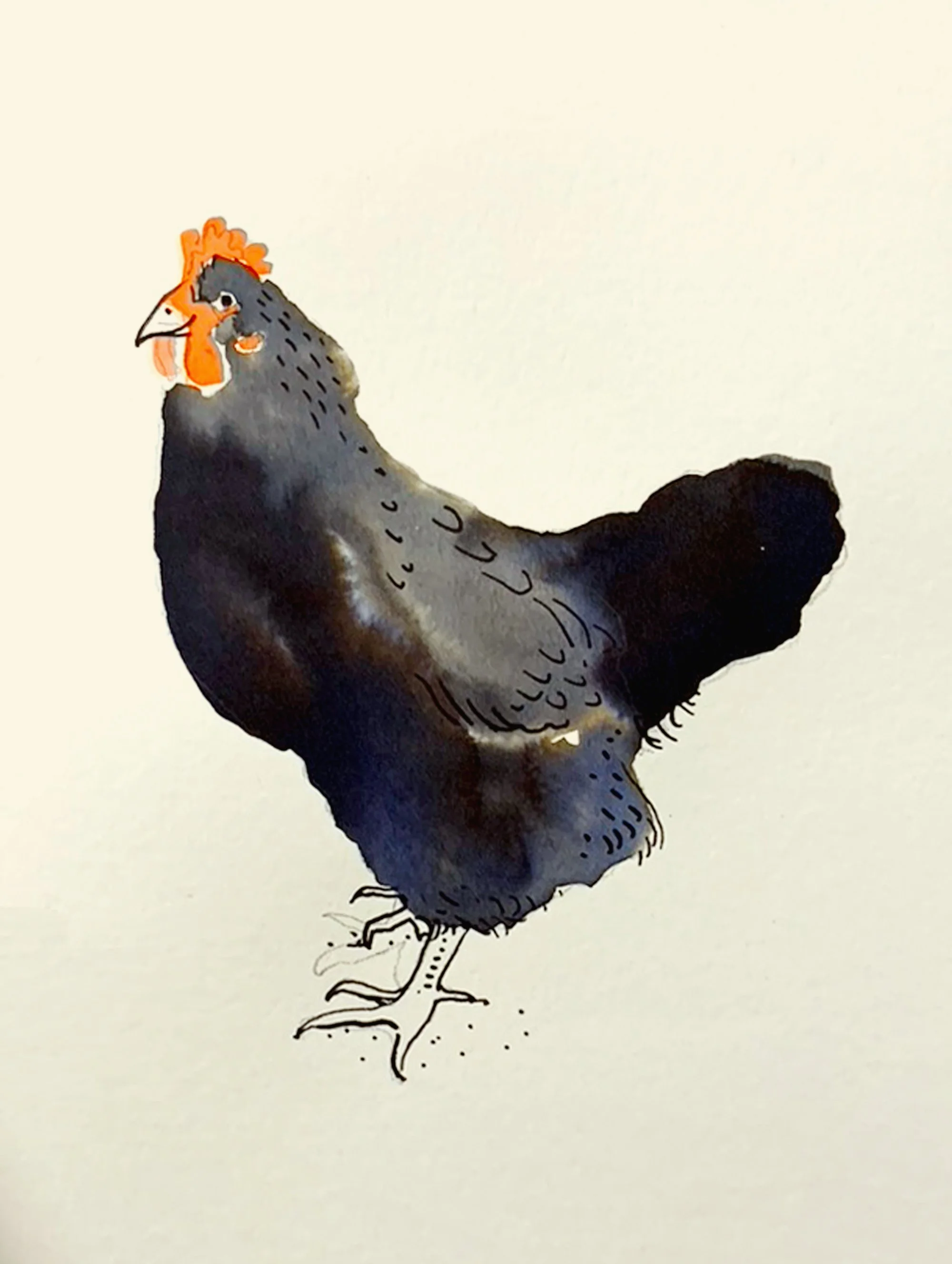 kat chadwick illustration