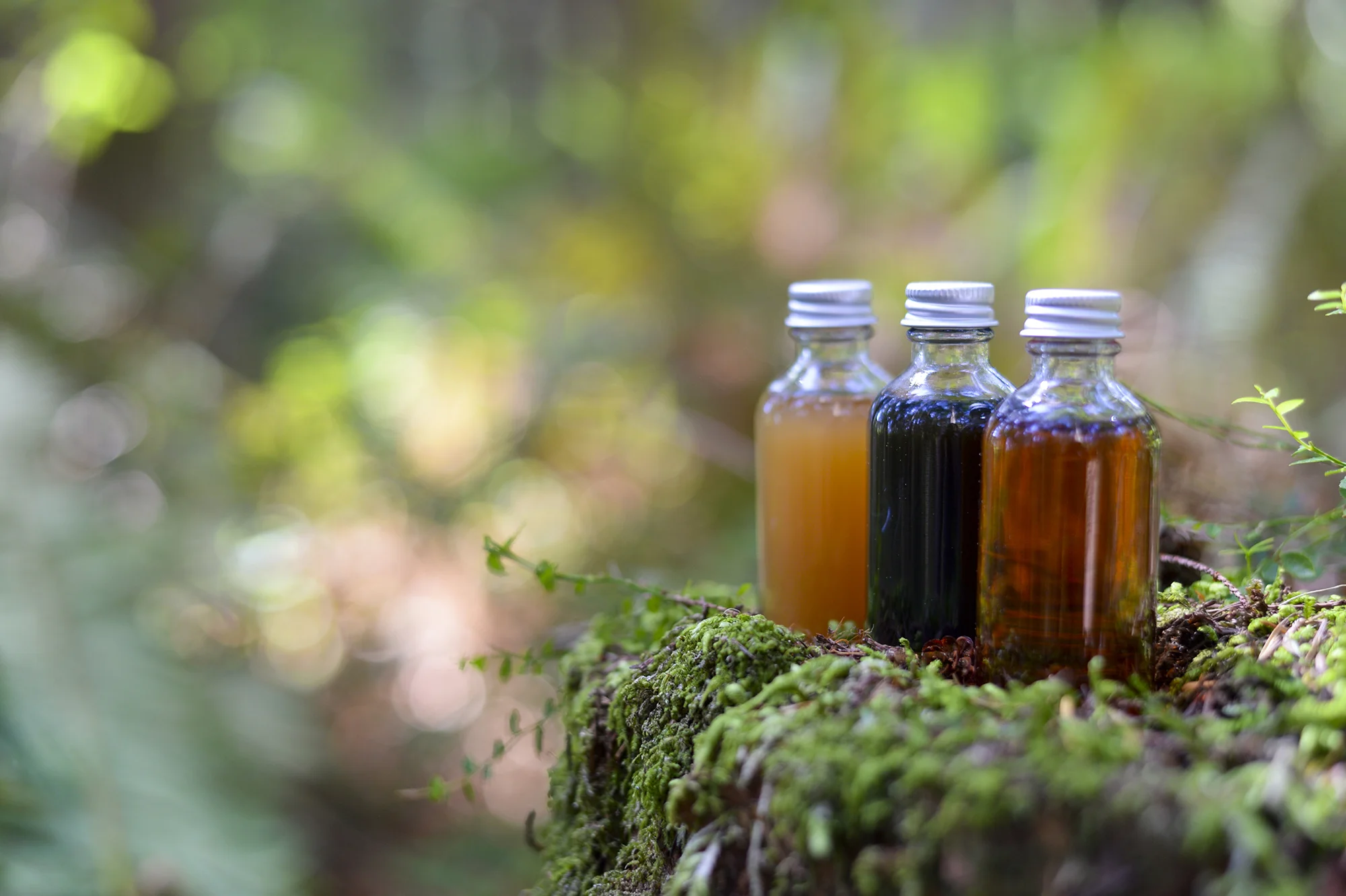 Læknisgrǫs | NORSKK®