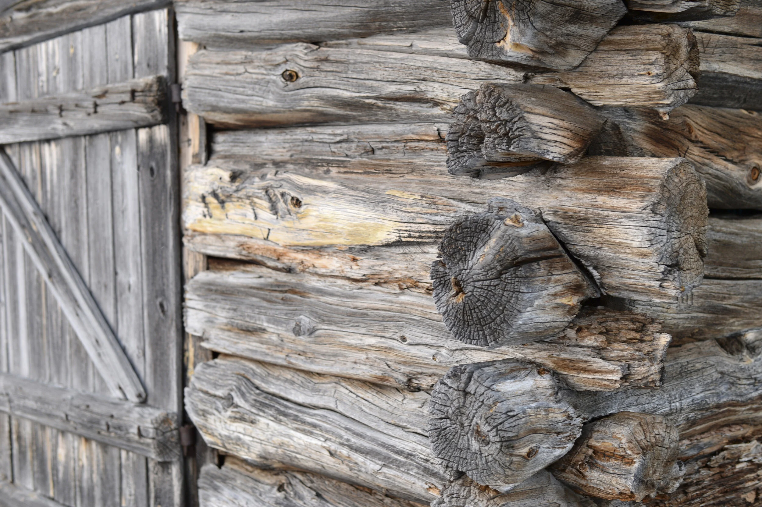 Hirðmaðr | NORSKK®