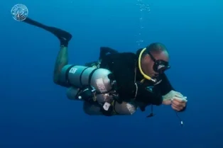 Roatan Tec center | Sidemount technical dive operators | Coconut Tree ...