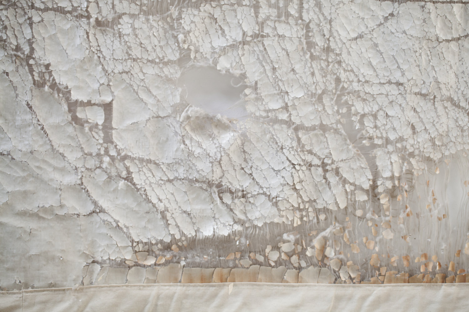 Teelah George — FELTspace