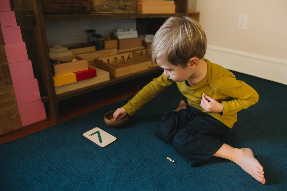 MONTESSORI MATH — the new domestic