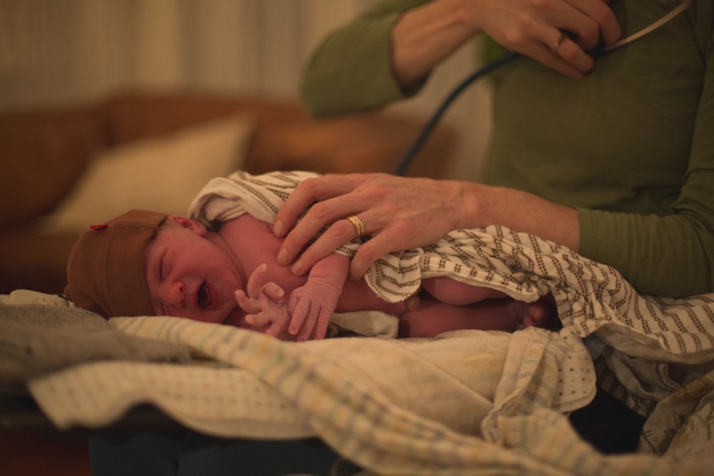 poppy's birth — the new domestic