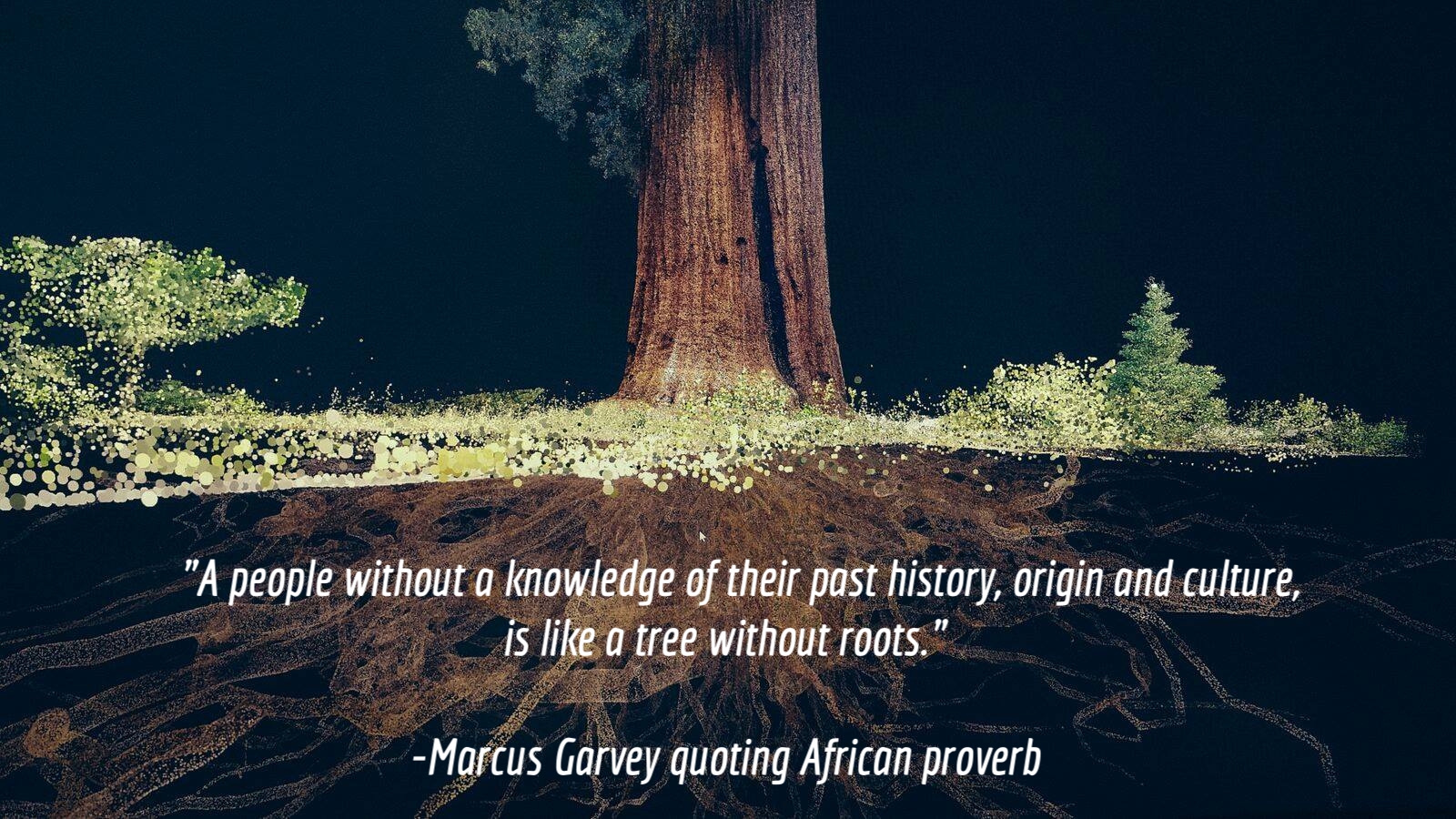 Ancestral Healing — root wisdom