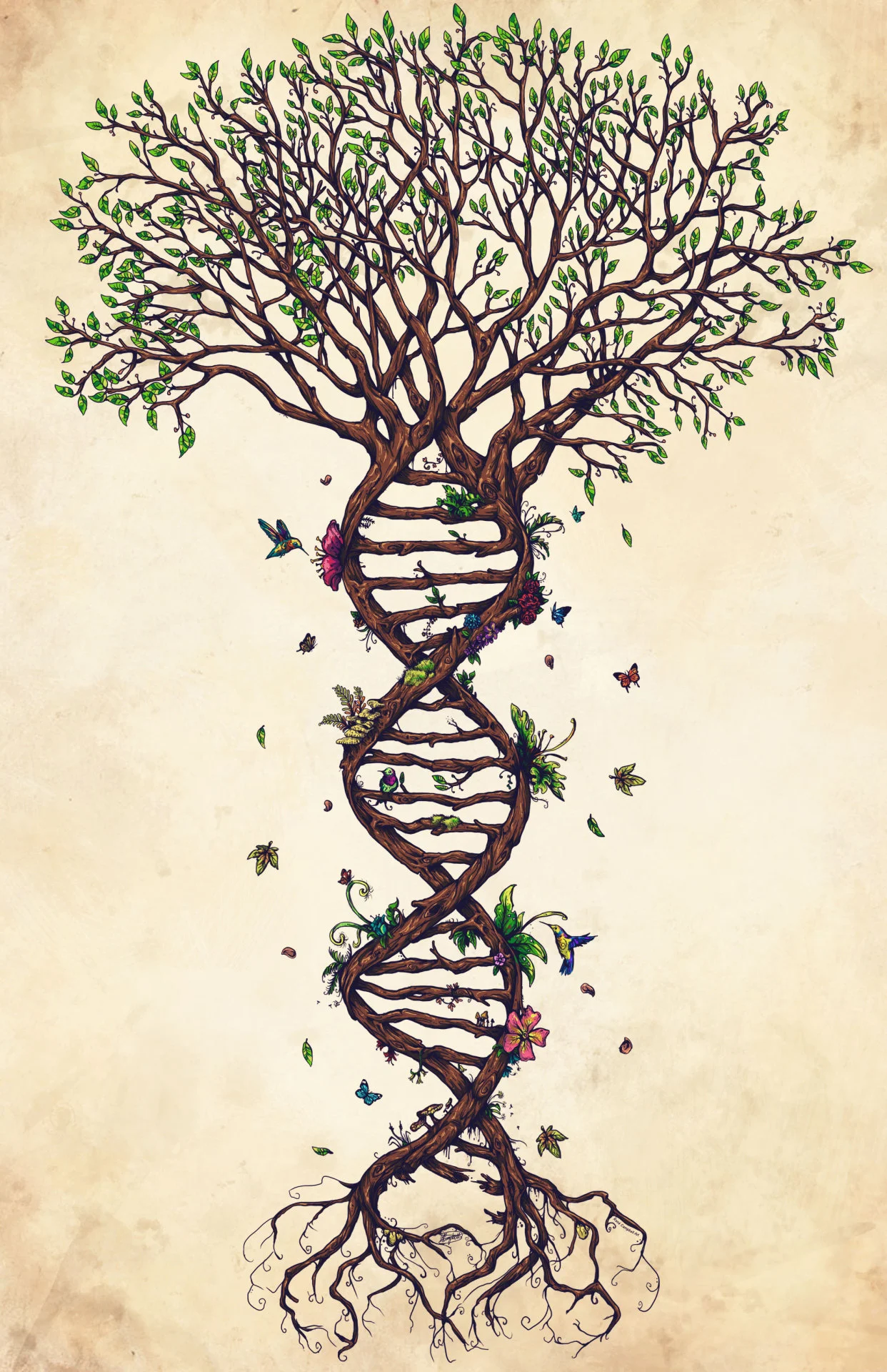 Ancestral Healing — root wisdom