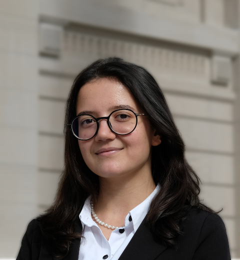 Yale Model United Nations Europe