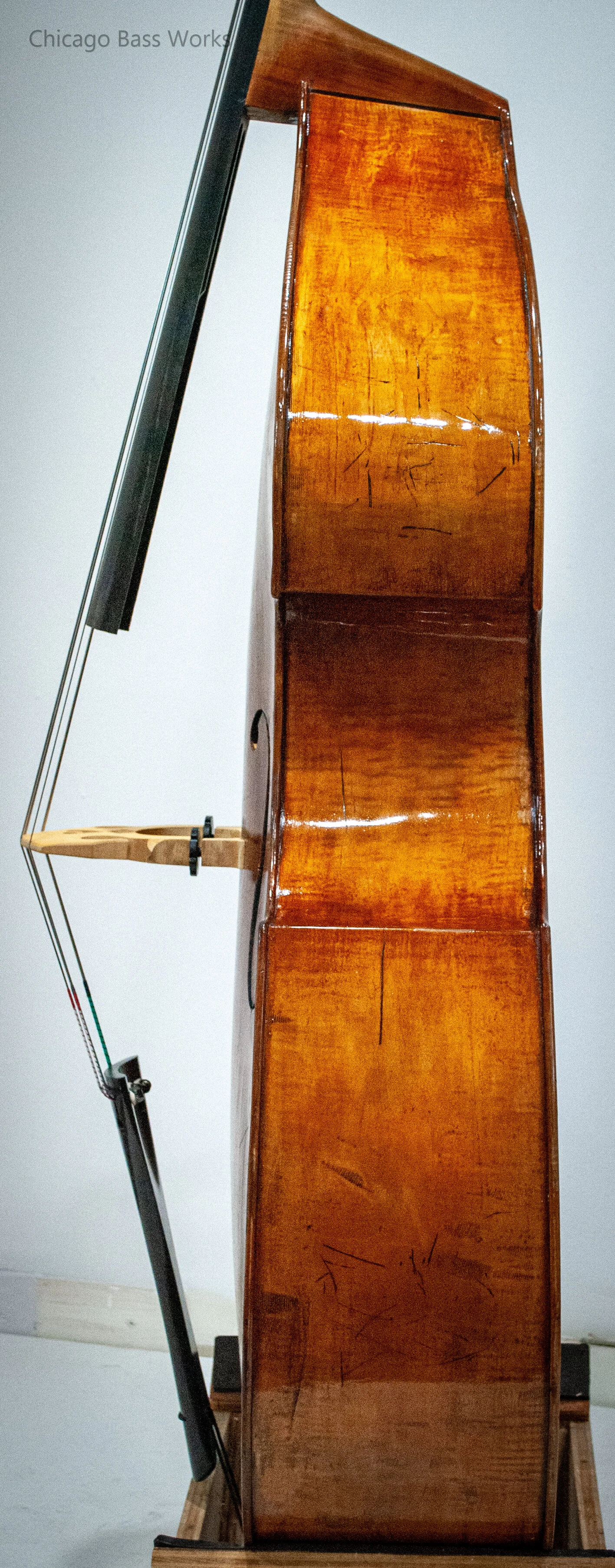 Basses — Chicago Bass Works