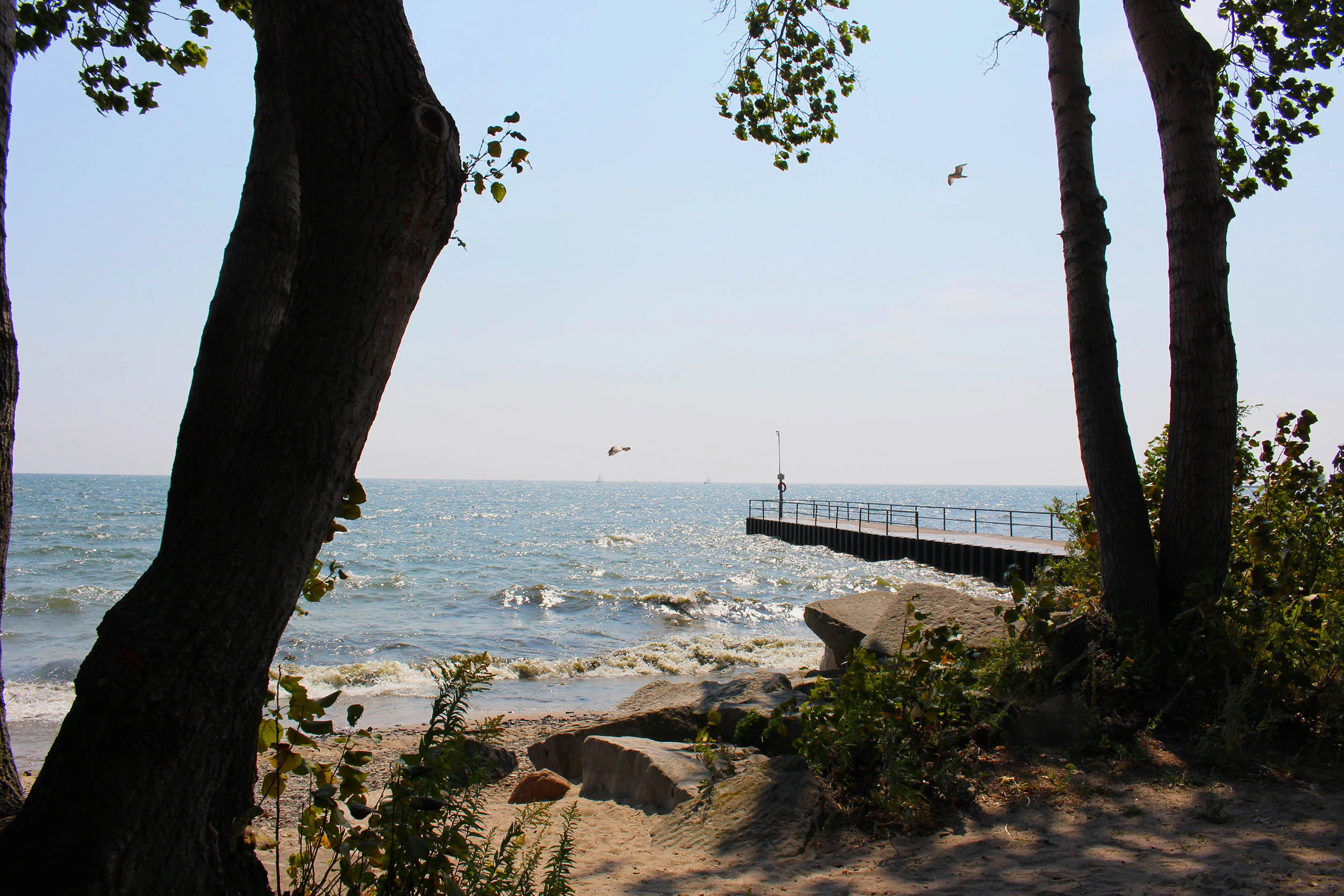 Long Branch Neighbourhood Guide, South Etobicoke - Life West Real Estate