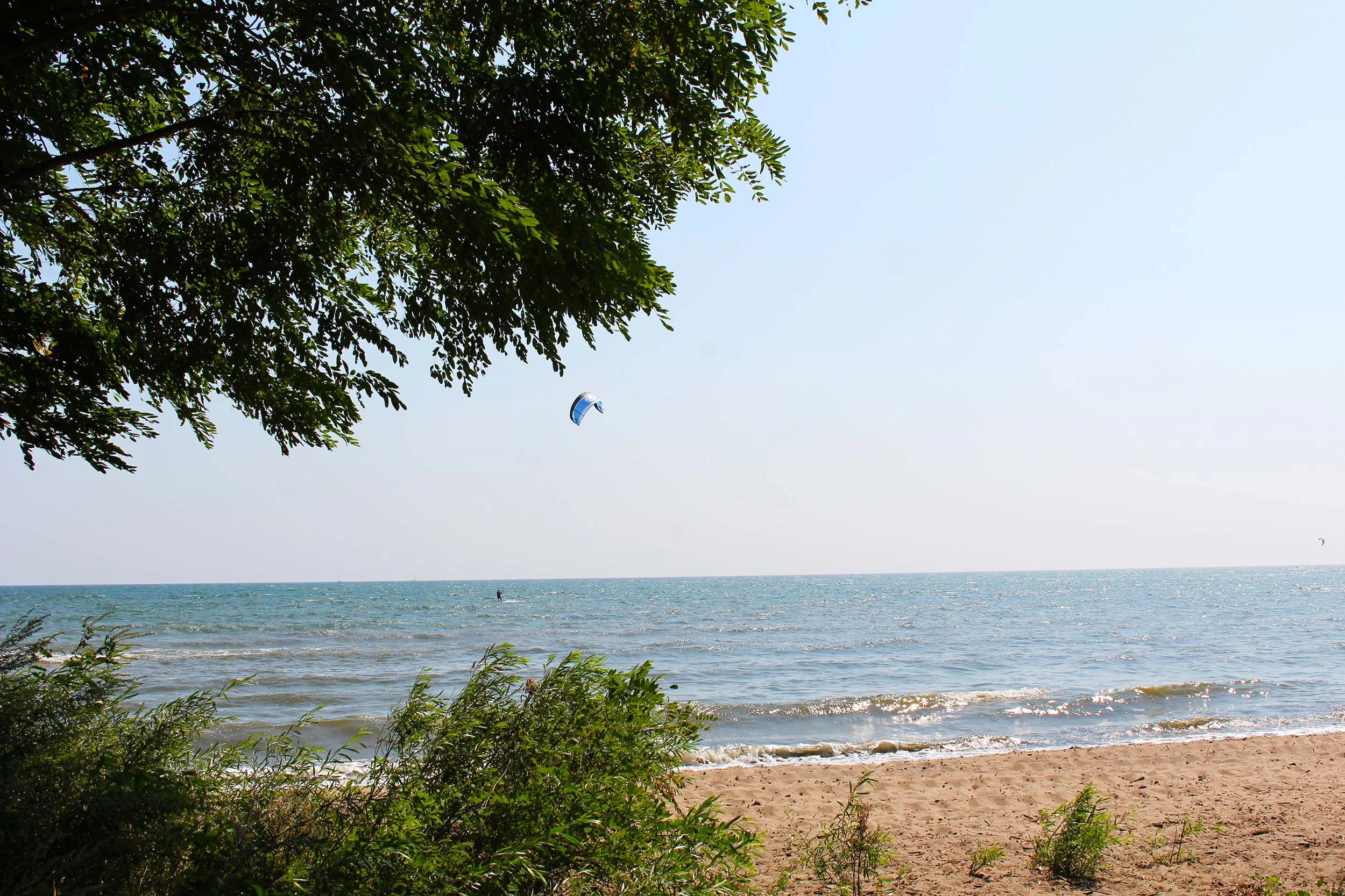 Long Branch Neighbourhood Guide, South Etobicoke - Life West Real Estate