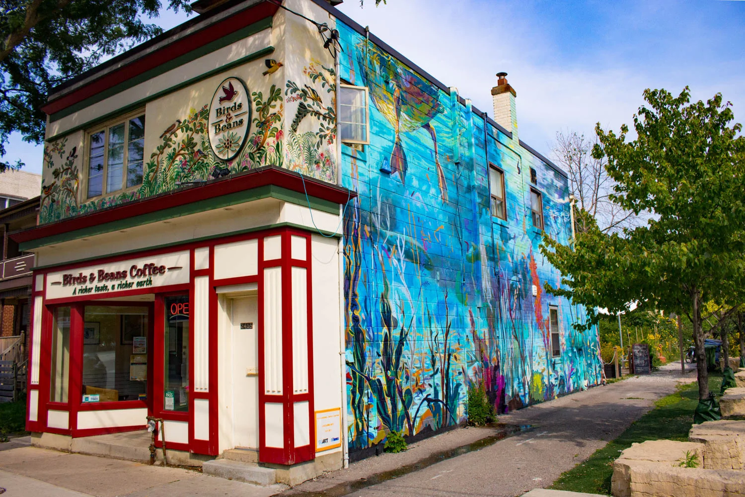 Mimico Neighbourhood Guide, South Etobicoke - Life West Real Estate