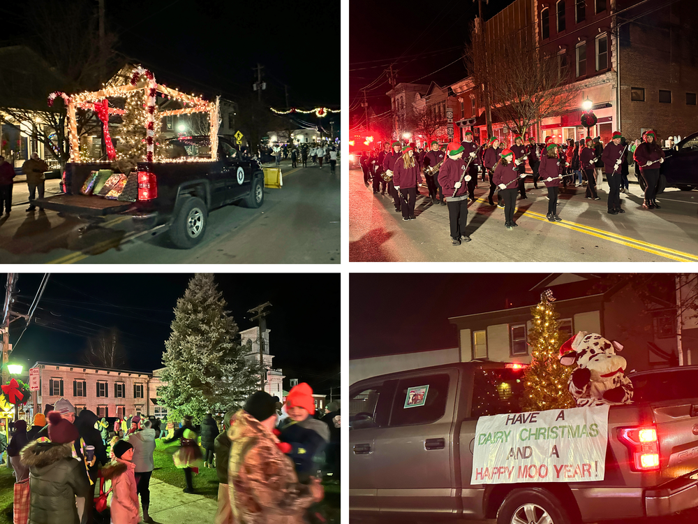 Delhi Holiday Parade & Tree Lighting — Greater Delhi area Chamber of ...