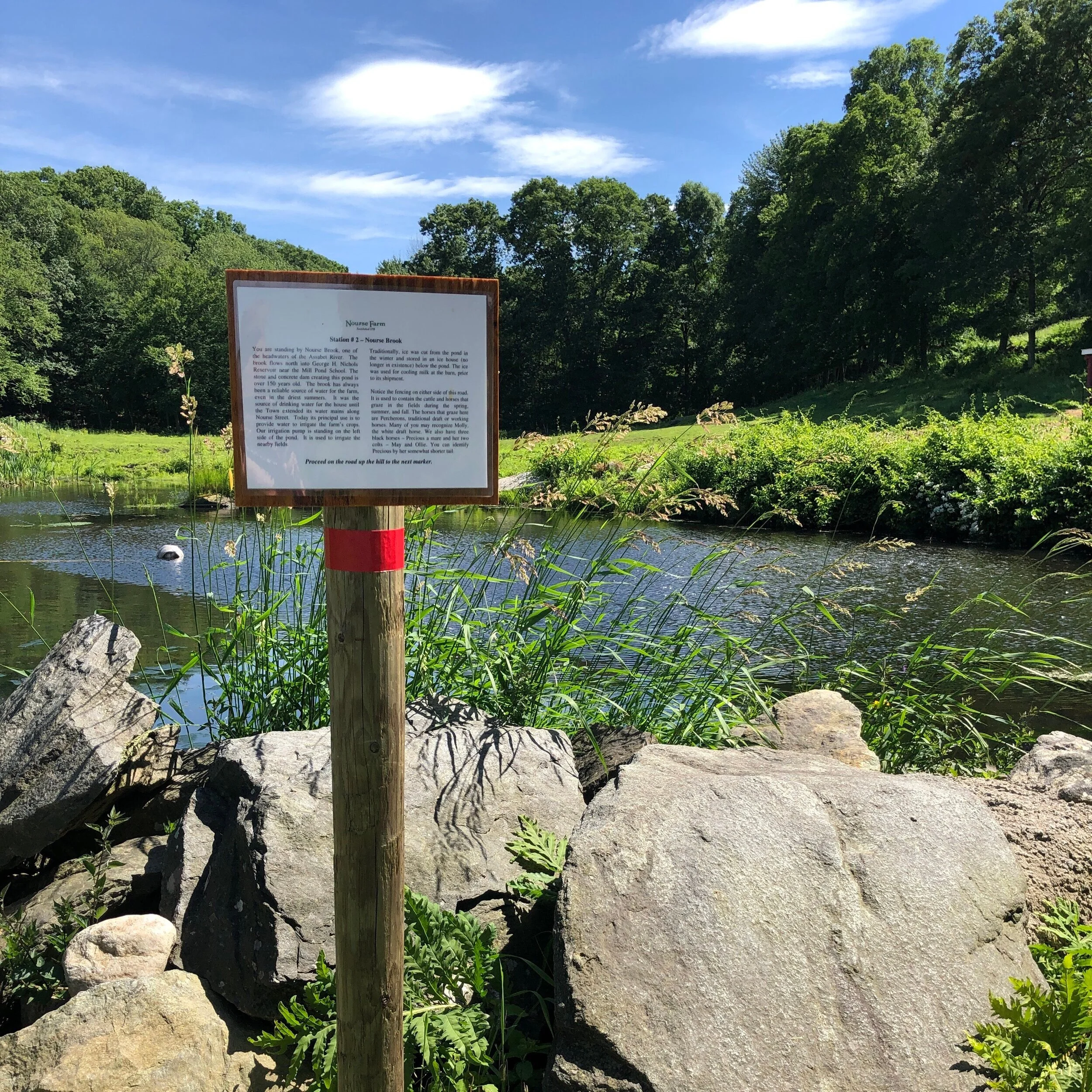 EXPLORE NOURSE FARM — Nourse Farm
