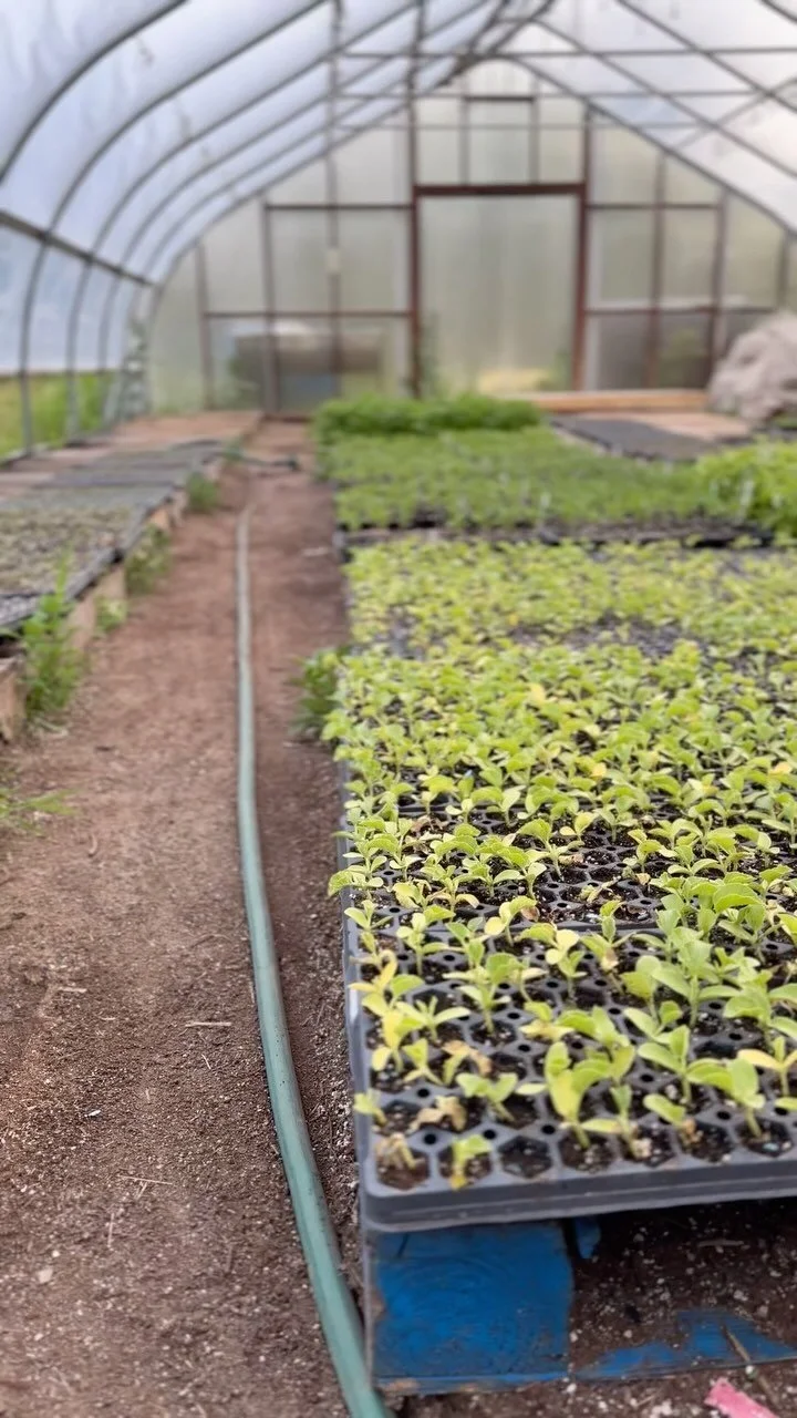 LOCATION & HOURS — Nourse Farm