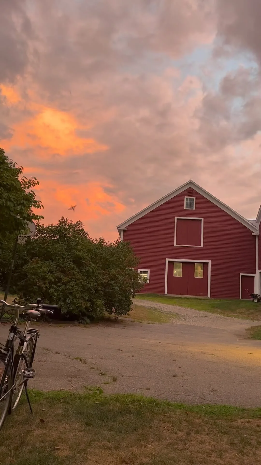 TODAY'S PICKING — Nourse Farm