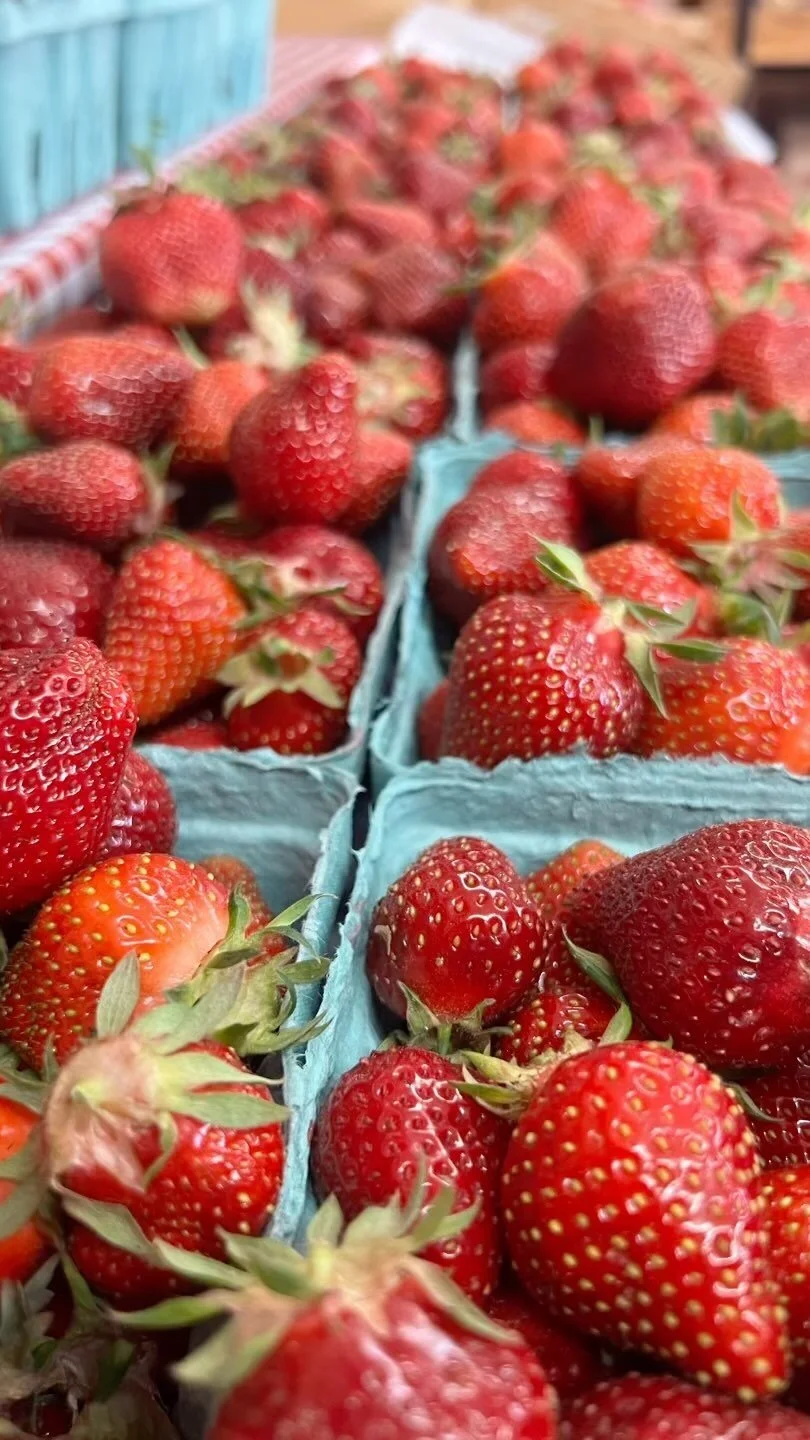 TODAY'S PICKING — Nourse Farm