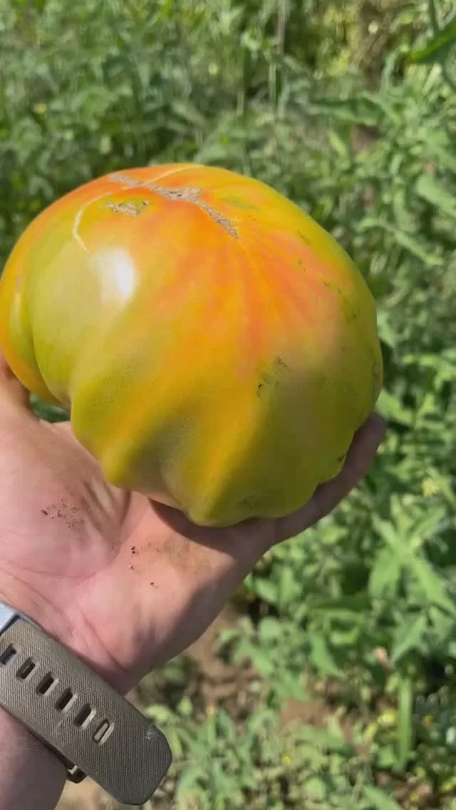 FARM STORE — Nourse Farm