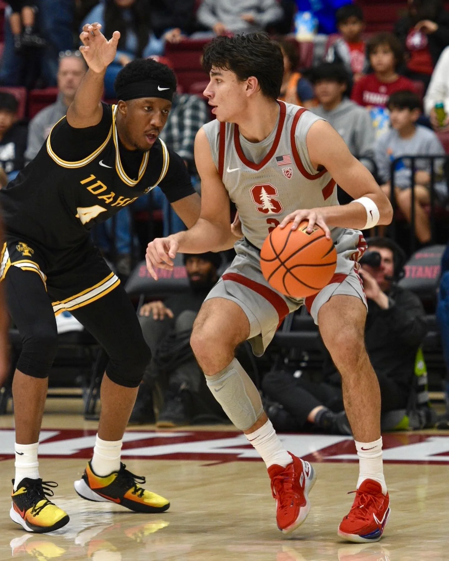 The Steebee Weebee Show provides no frills, always interesting ...