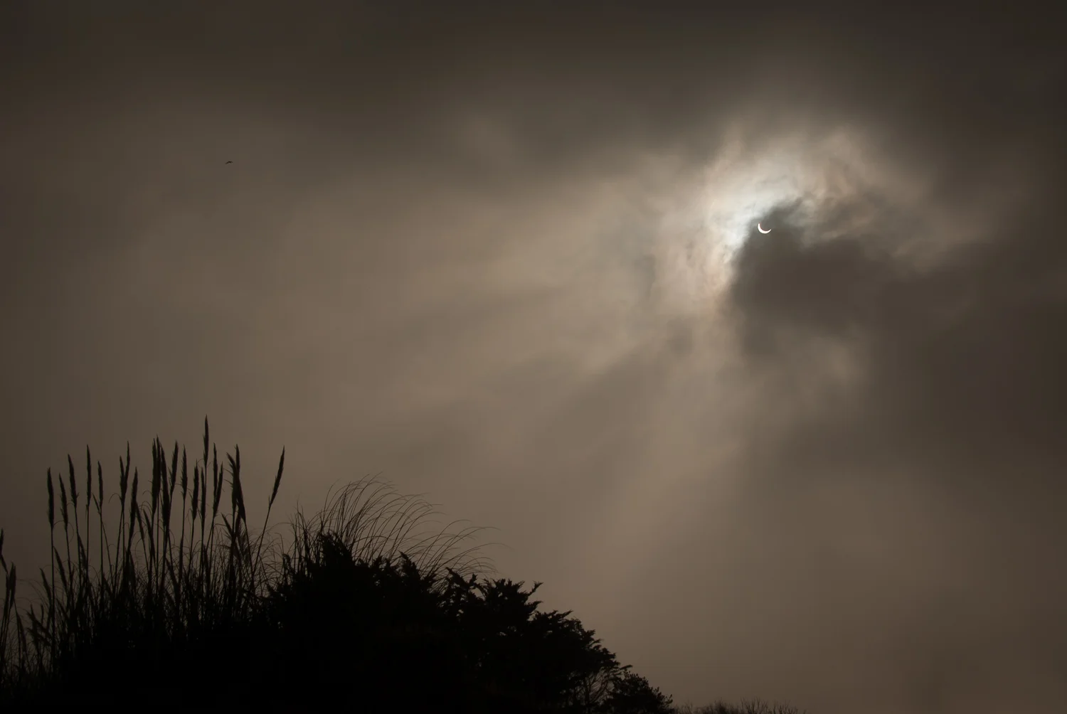 Partial Solar Eclipse images from Penzance, Cornwall. — Adam van Dorp ...