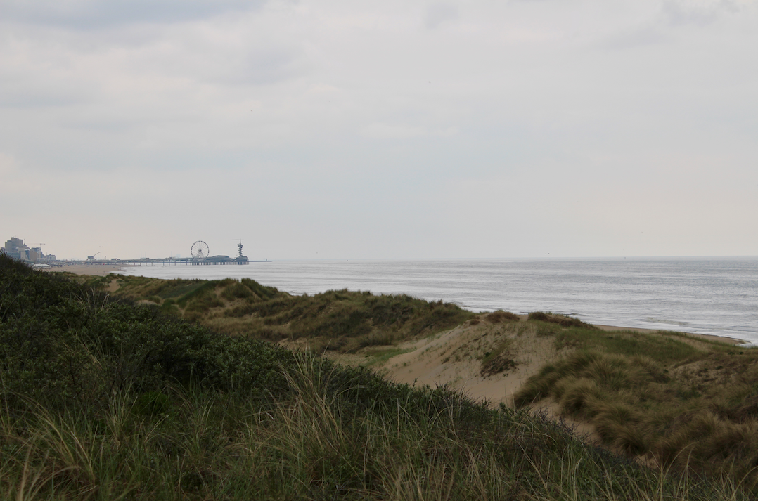 Fietsen door de Hollandse Duinen (Holland National Parks 2/3 ...
