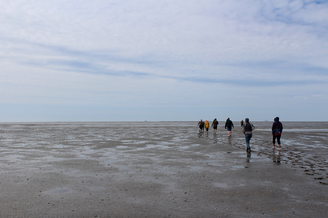 Wadlopen over de Waddenzee (Holland National Parks 3/3) — Get Out Of Town