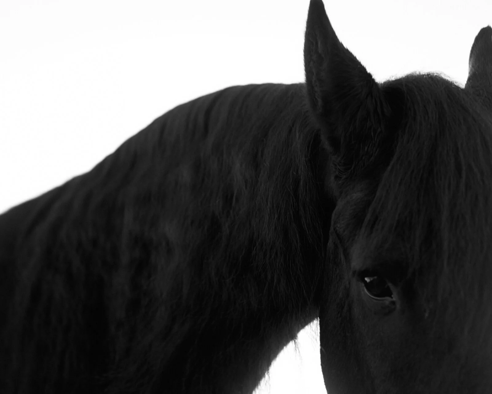 Martin Rustad Johansen - photographer based in Oslo