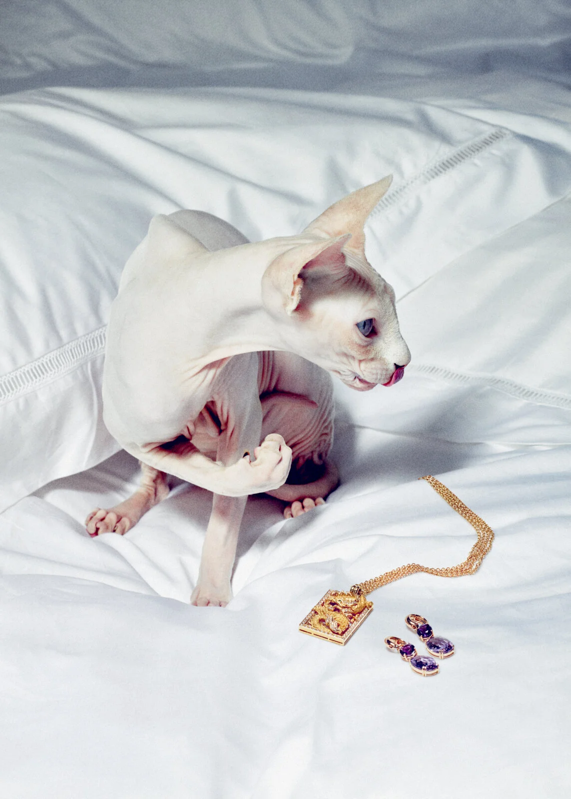 Martin Rustad Johansen - photographer based in Oslo