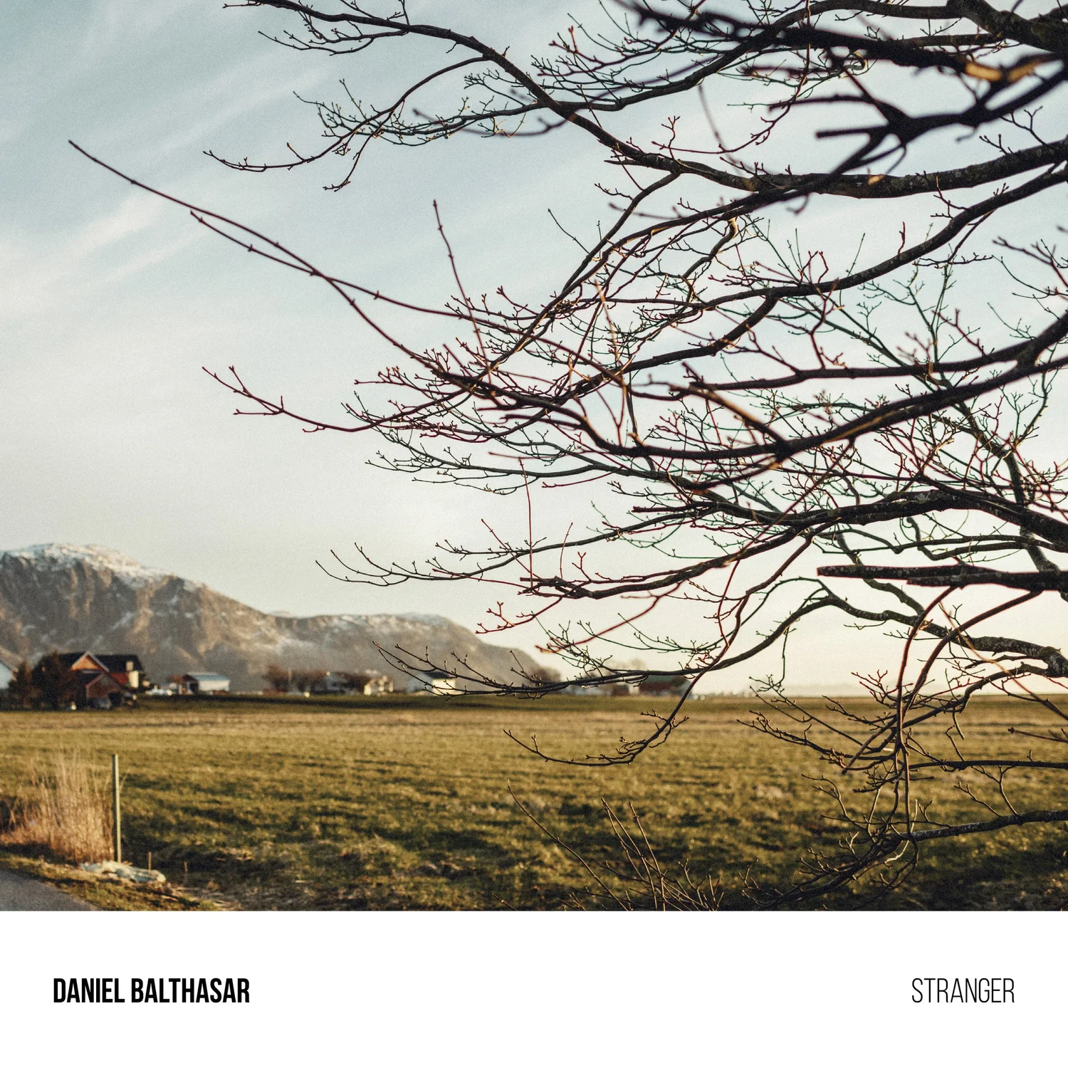 New Single "Stranger" — DB