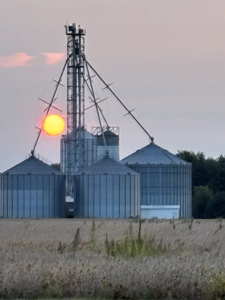 Hess Family Farm