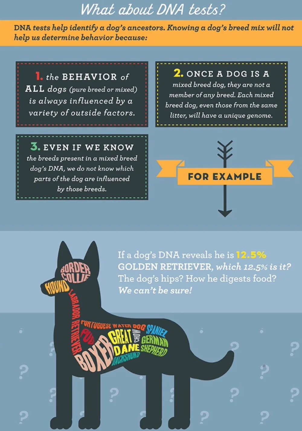 Can Dogs From The Same Litter Have Different Dna