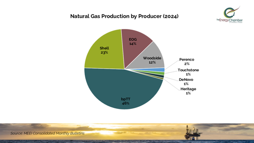Natural gas producers in T&T — Energy Chamber of Trinidad and Tobago