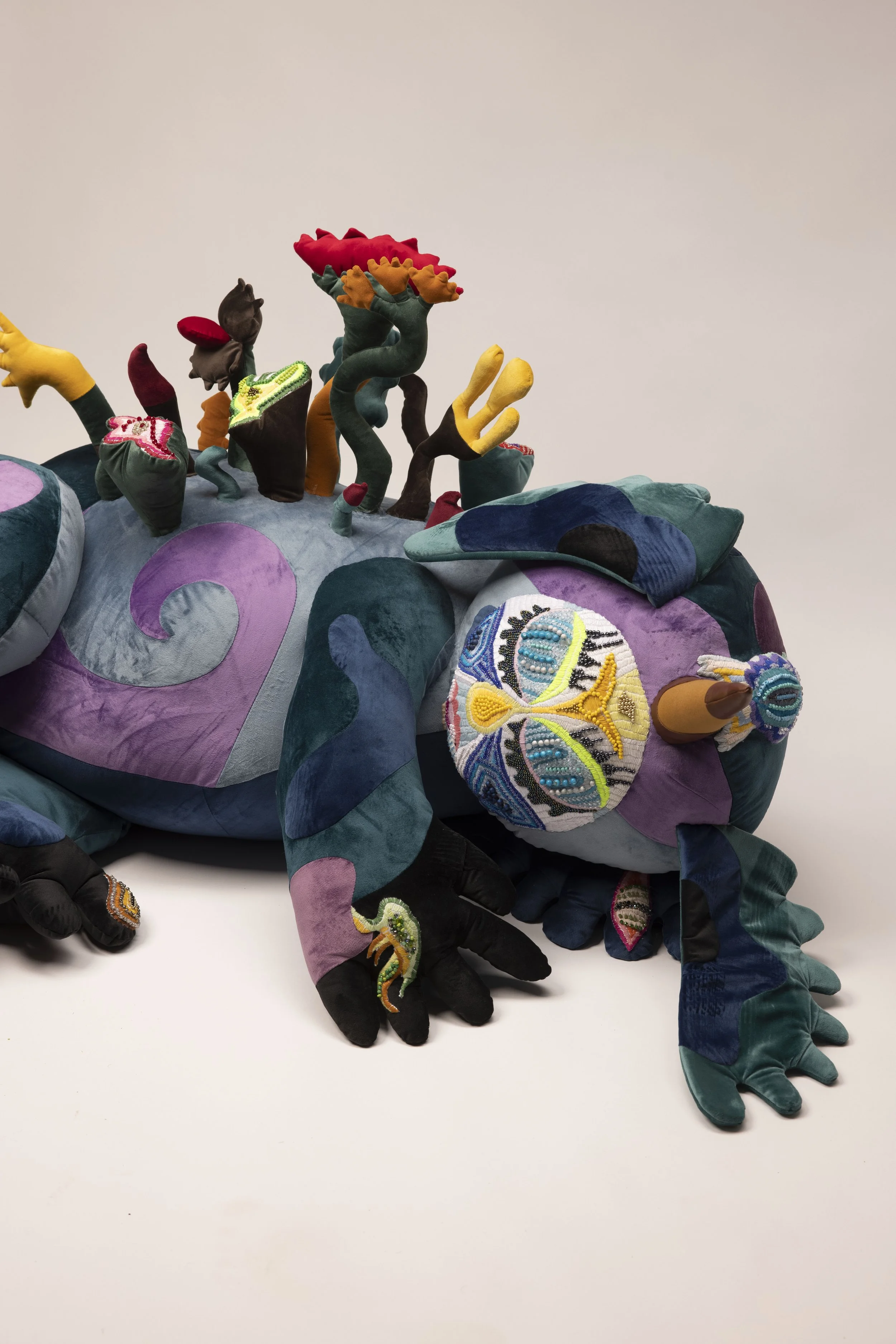 Projects — Marisa Newman Projects