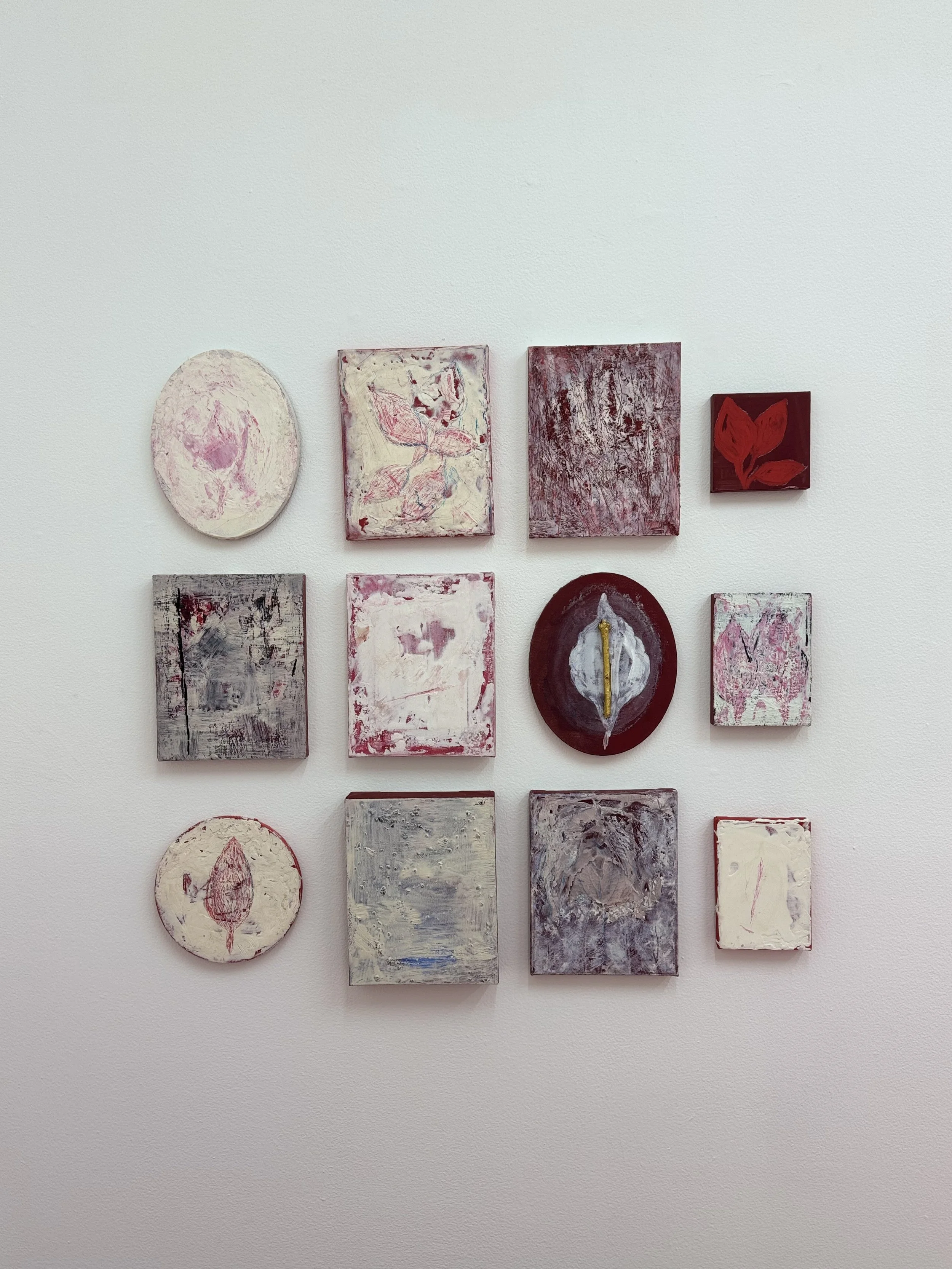 Marisa Newman Projects