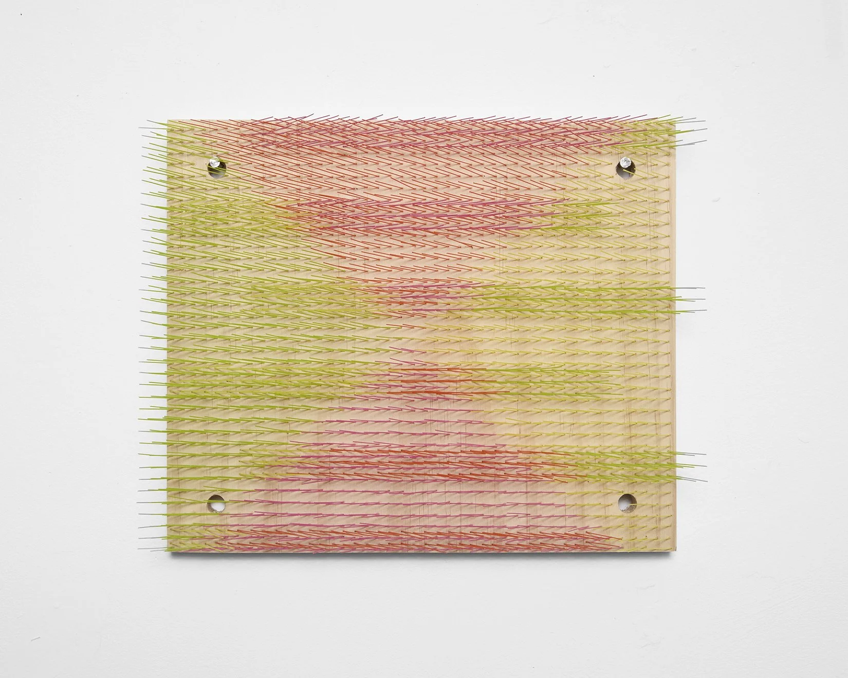 Marisa Newman Projects