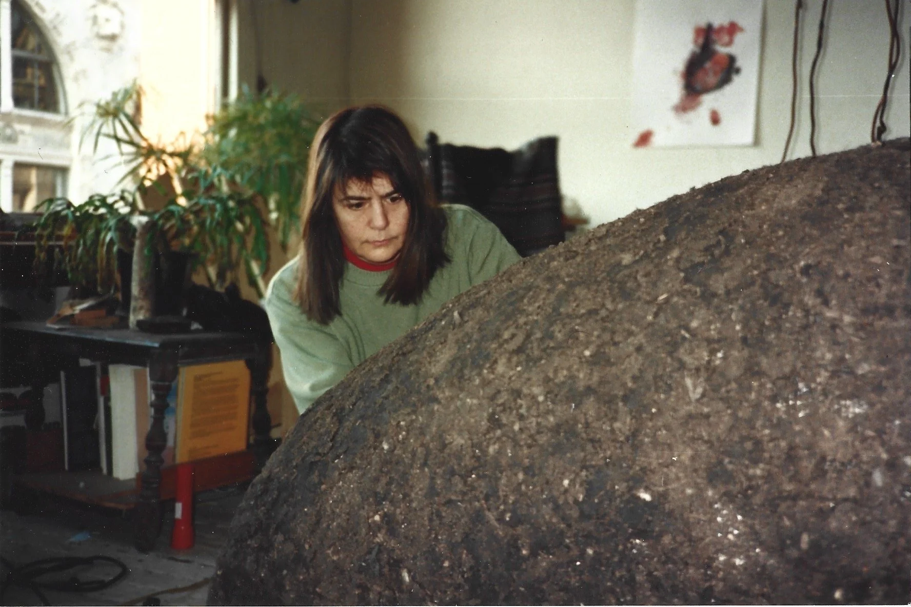 Marisa Newman Projects