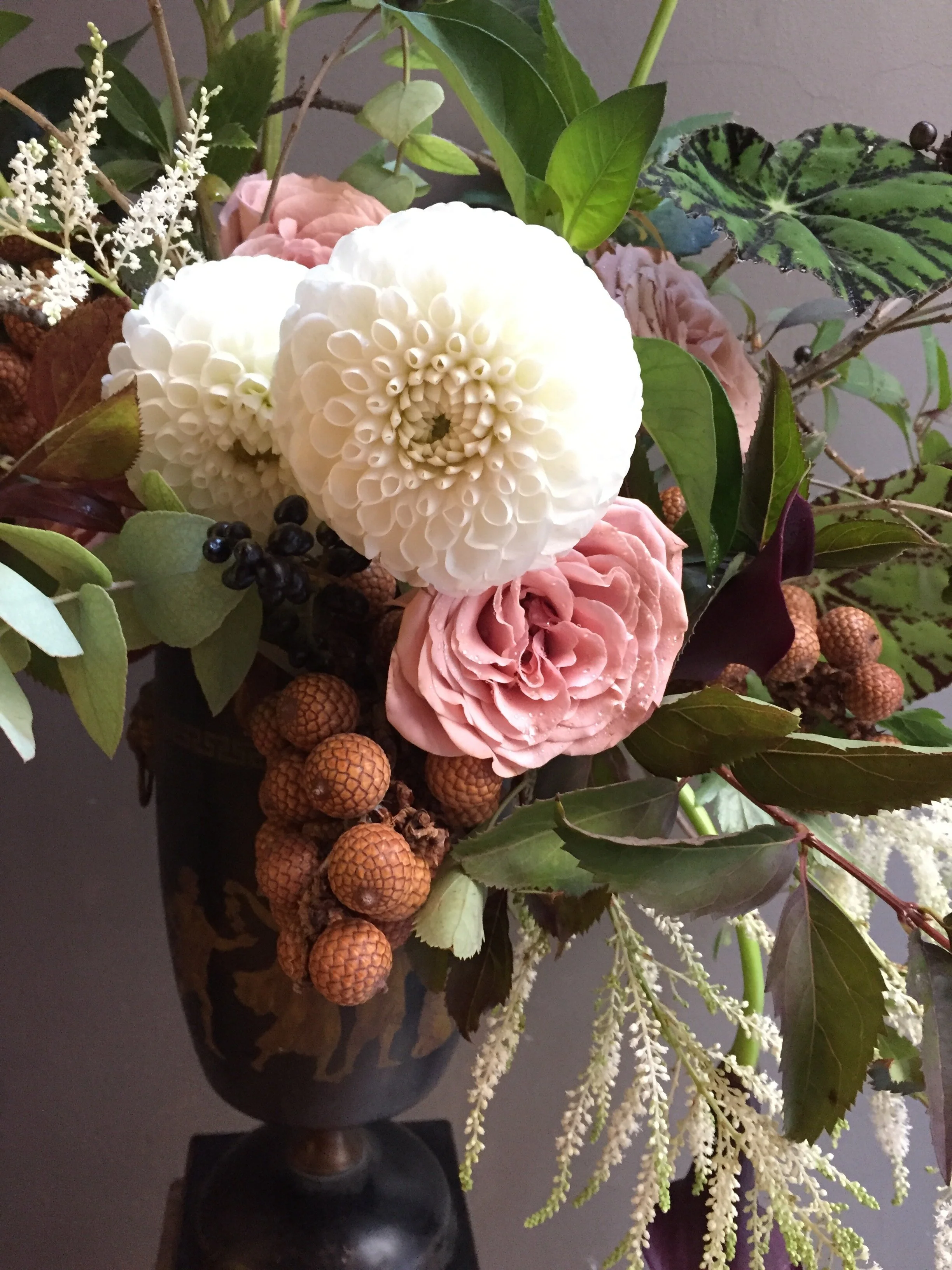 Posy